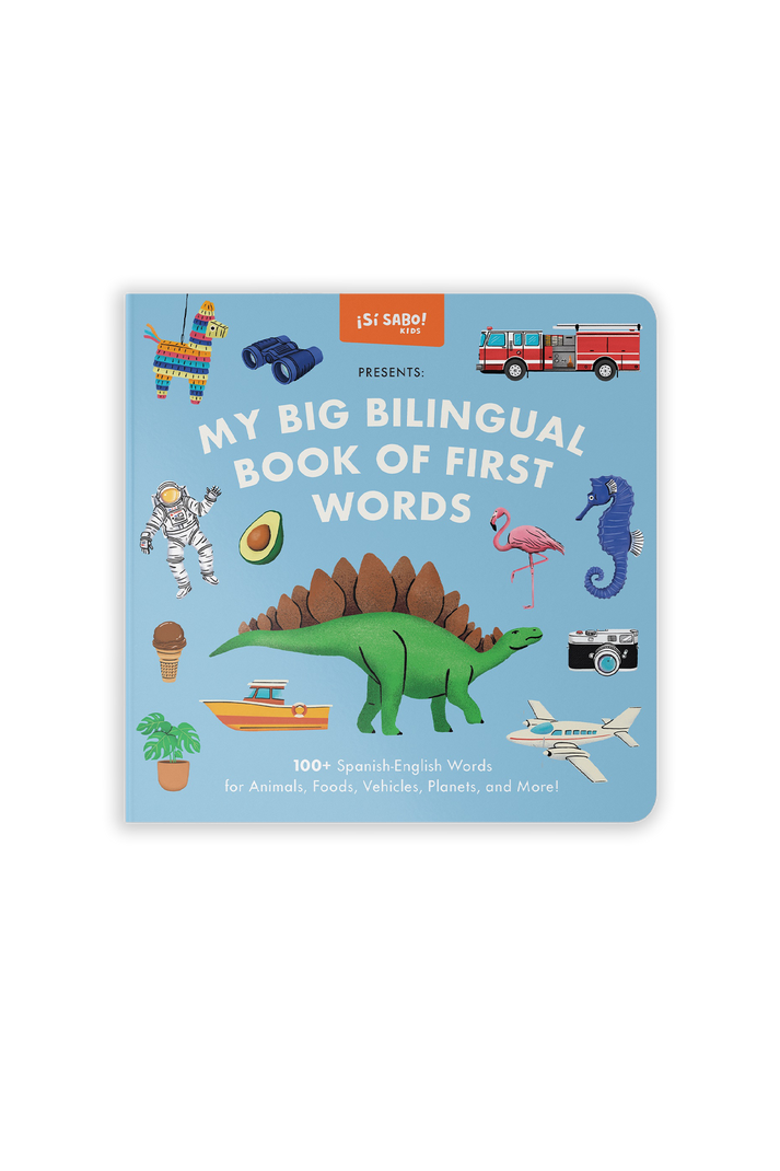 My Big Bilingual Book of First Words (English & Spanish) – Di Luna ...